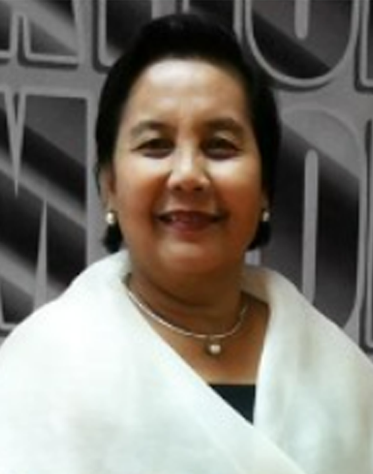 History | Deped MIMAROPA Region